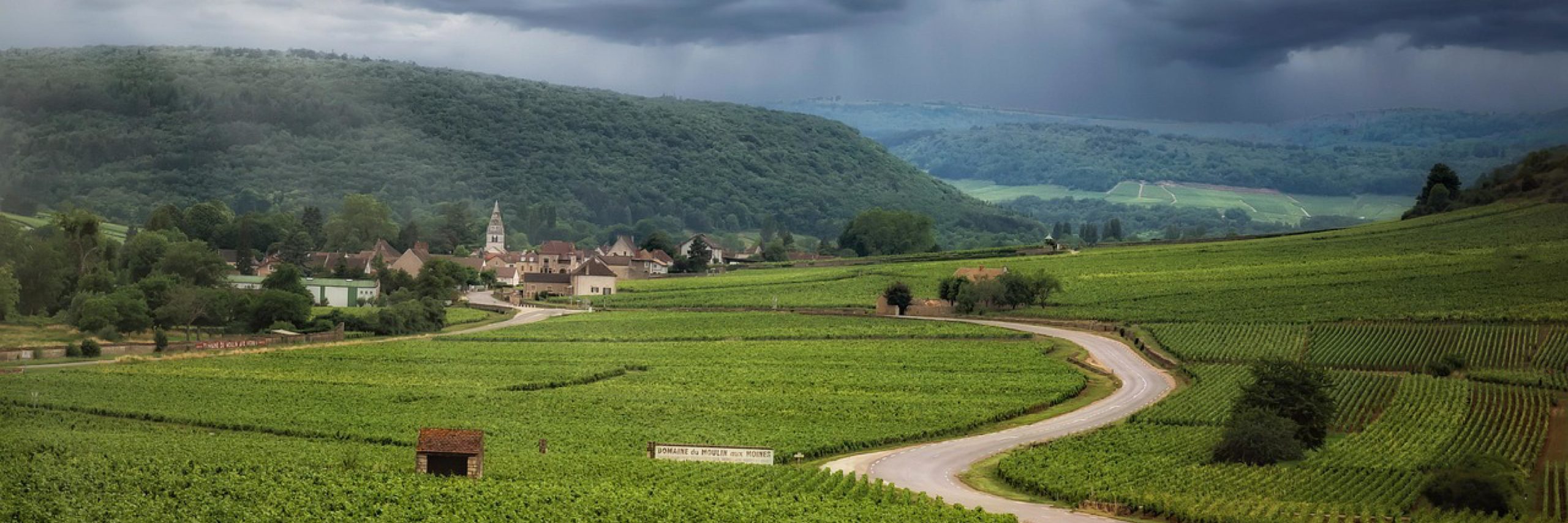 Visite guidée de la route des Vins de Bourgogne